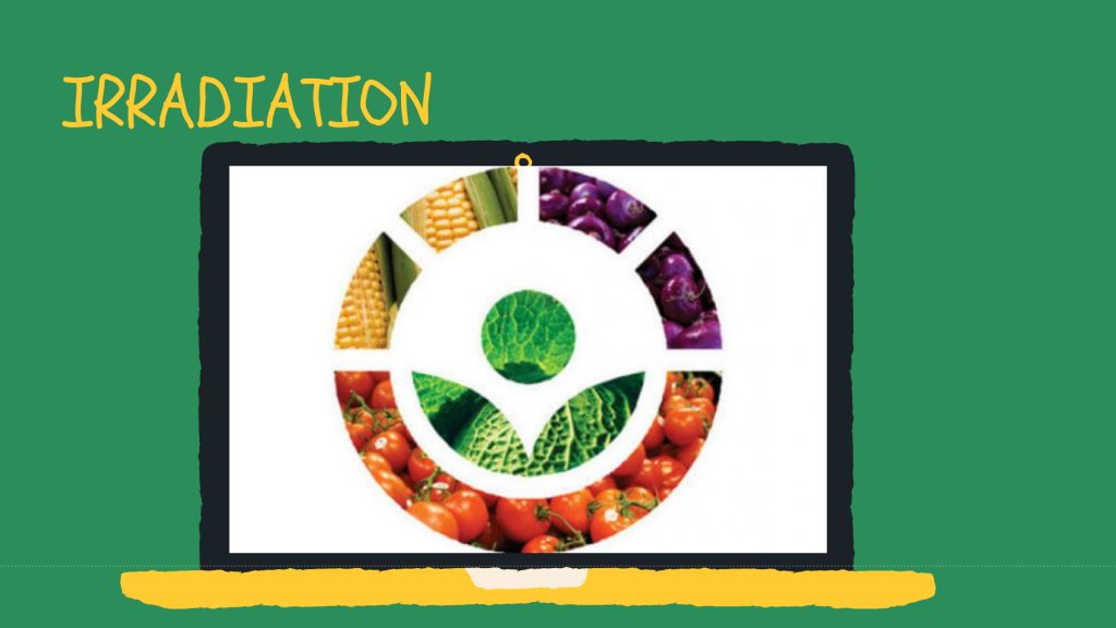Irradiation: Processing of Jamaica’s Mangoes